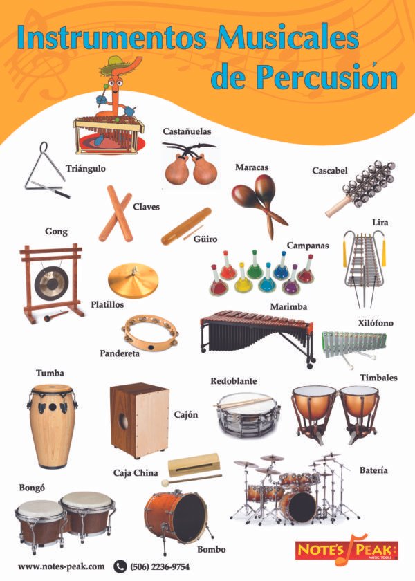 Láminas de familias de instrumentos musicales (cuerda, viento ...