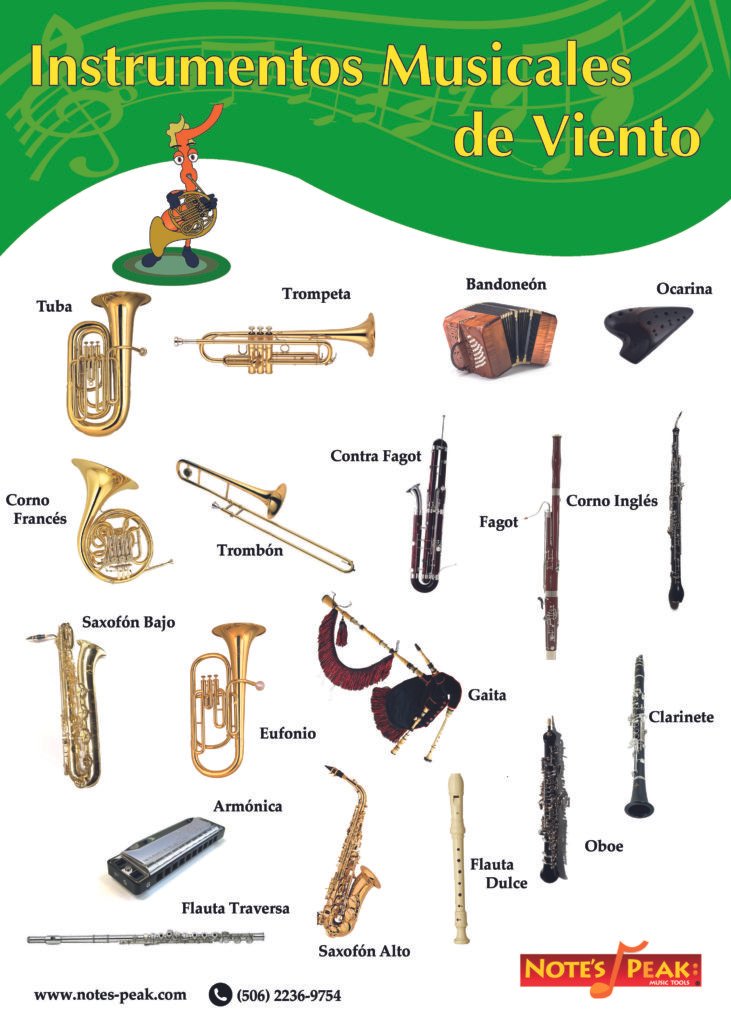 Láminas de familias de instrumentos musicales (cuerda, viento ...